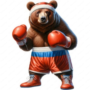 Boxing Bear Clipart: Sports Art Printables (digital Download) - Etsy