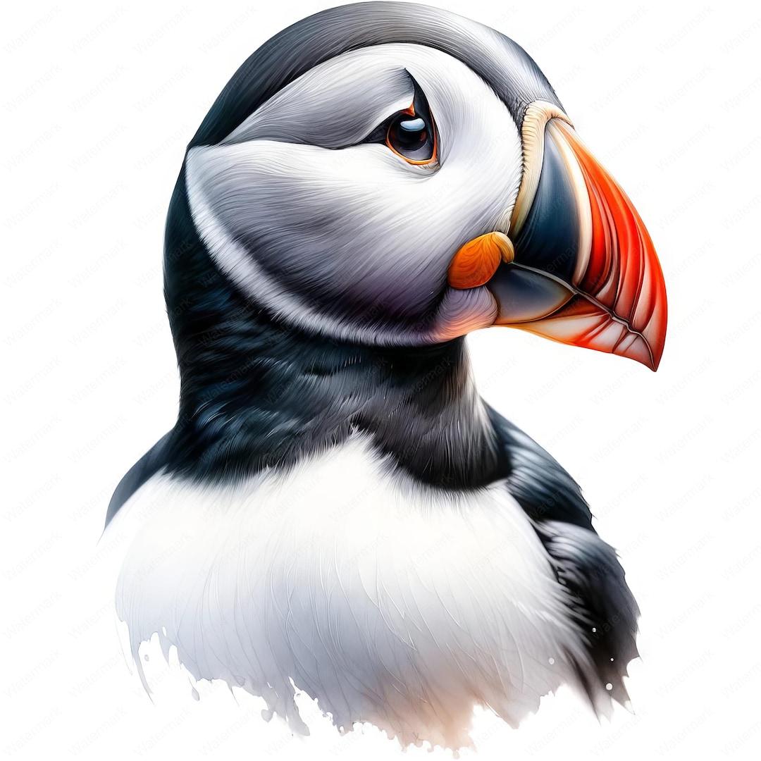 Puffin Clipart | Clipart Bundle | 10 High-quality Designs | Wall Art ...