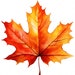 Elegant Maple Leaf Clipart Bundle | Autumn Art (digital Download) - Etsy
