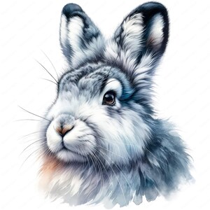 Arctic Hare Clipart | Clipart Bundle | 10 High-quality Designs | Wall ...