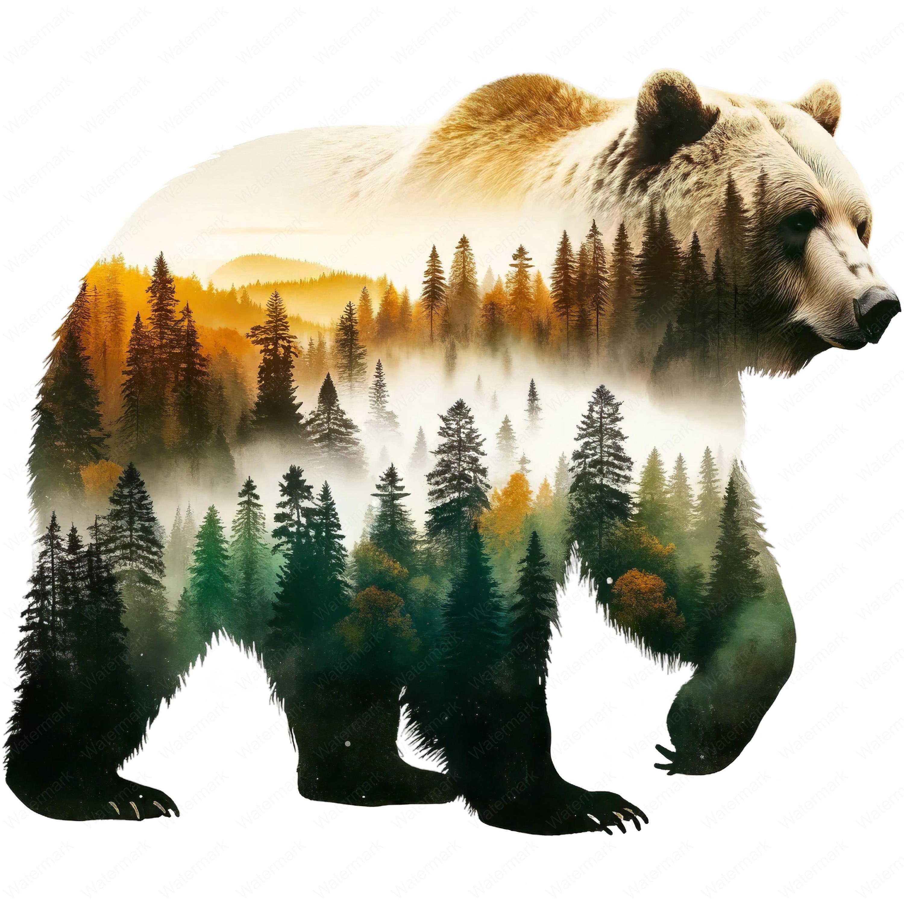 Linda Ilustración De Oso Grizzly 577 Resultados De Imágenes, Fotos