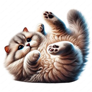 Fluffy Cat Clipart Adorable Fluffy Cat Clipart Bundle 10 High-quality ...
