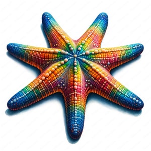 Starfish Clipart | Colorful Starfish Clipart Bundle | 10 High-quality ...