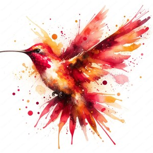Hummingbird Clipart Abstract Clipart 10 High Quality JPG Wall Art Paper ...