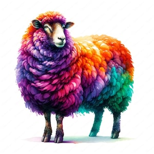 Colorful Sheep Clipart Clipart Bundle 10 Vibrant Images Animal Art ...