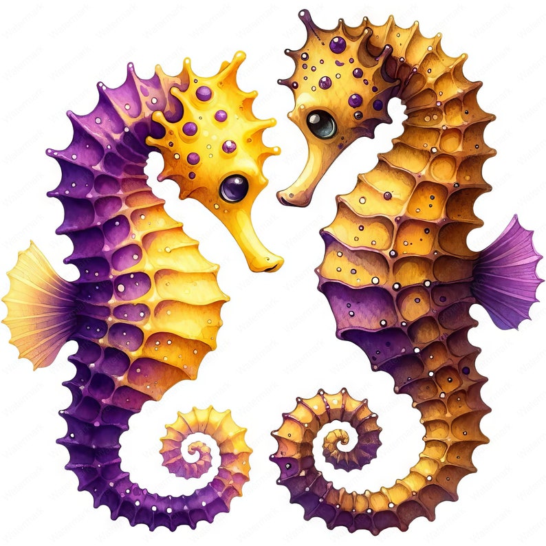 Colorful Seahorse Clipart Bundle | Marine Art (digital Download) - Etsy