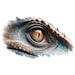 T-rex Eye Clipart | Intense T-rex Eye Clipart Bundle | 10 High-quality ...