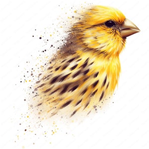 Canary Clipart Clipart Bundle 10 Charming Images Bird Art Crafts ...