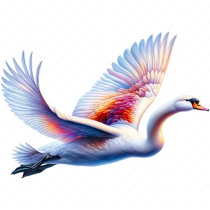Elegant Flying Swan Clipart | Bird Art Printables (digital Download) - Etsy