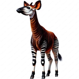 Okapi Clipart | Adorable Okapi Clipart Bundle | 10 High-quality Designs ...