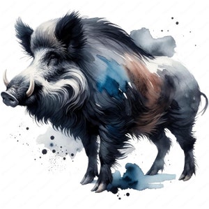 Wild Boar Clipart | Clipart Bundle | 10 High-quality Designs | Wall Art ...