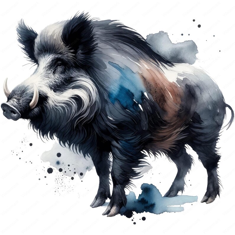 Wild Boar Watercolor Clipart | Printable Animal Designs (digital ...