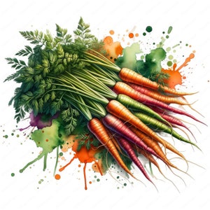 Vibrant Carrot Clipart Bundle | Vegetable Art (digital Download) - Etsy