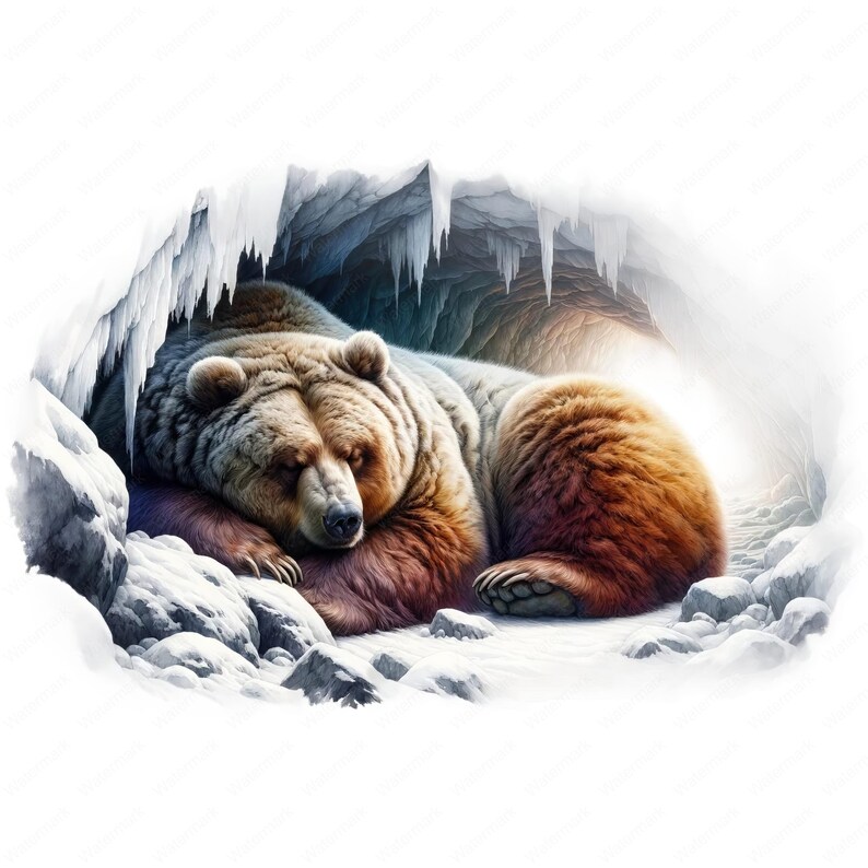 Hibernating Bear Clipart Bundle: Cozy Winter Animal Art (digital ...