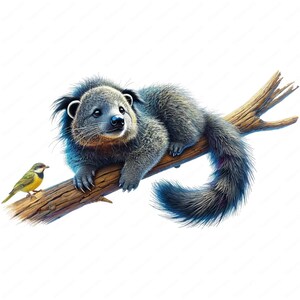 Adorable Binturong Clipart Bundle | Wildlife Art Printables (digital ...