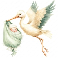 Cicogna Clipart, Cicogna PNG, Baby Shower Clipart, Download digitale ...