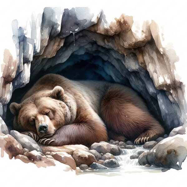 Sleeping Animals Clipart - Etsy
