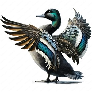 Cayuga Clipart | Elegant Cayuga Clipart Bundle | 10 High-quality ...