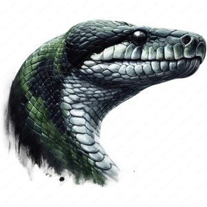 Anaconda Clipart Clipart Bundle 10 Serpent Designs Snake Art Crafts ...