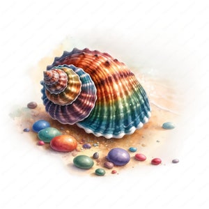 Colorful Seashell Clipart: Beach Art Printables (digital Download) - Etsy
