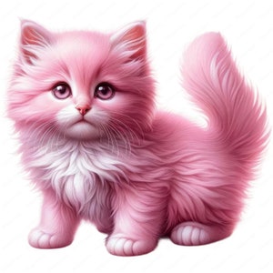 Cute Pink Kitten Clipart | Adorable Pink Kitten Clipart Bundle | 10 ...
