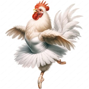 Ballet Chicken Clipart: Whimsical Farm Animal Art (digital Download) - Etsy