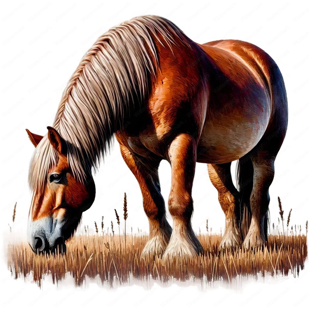 Farm Horse Clipart | Rustic Farm Horse Clipart Bundle | 10 High-quality ...
