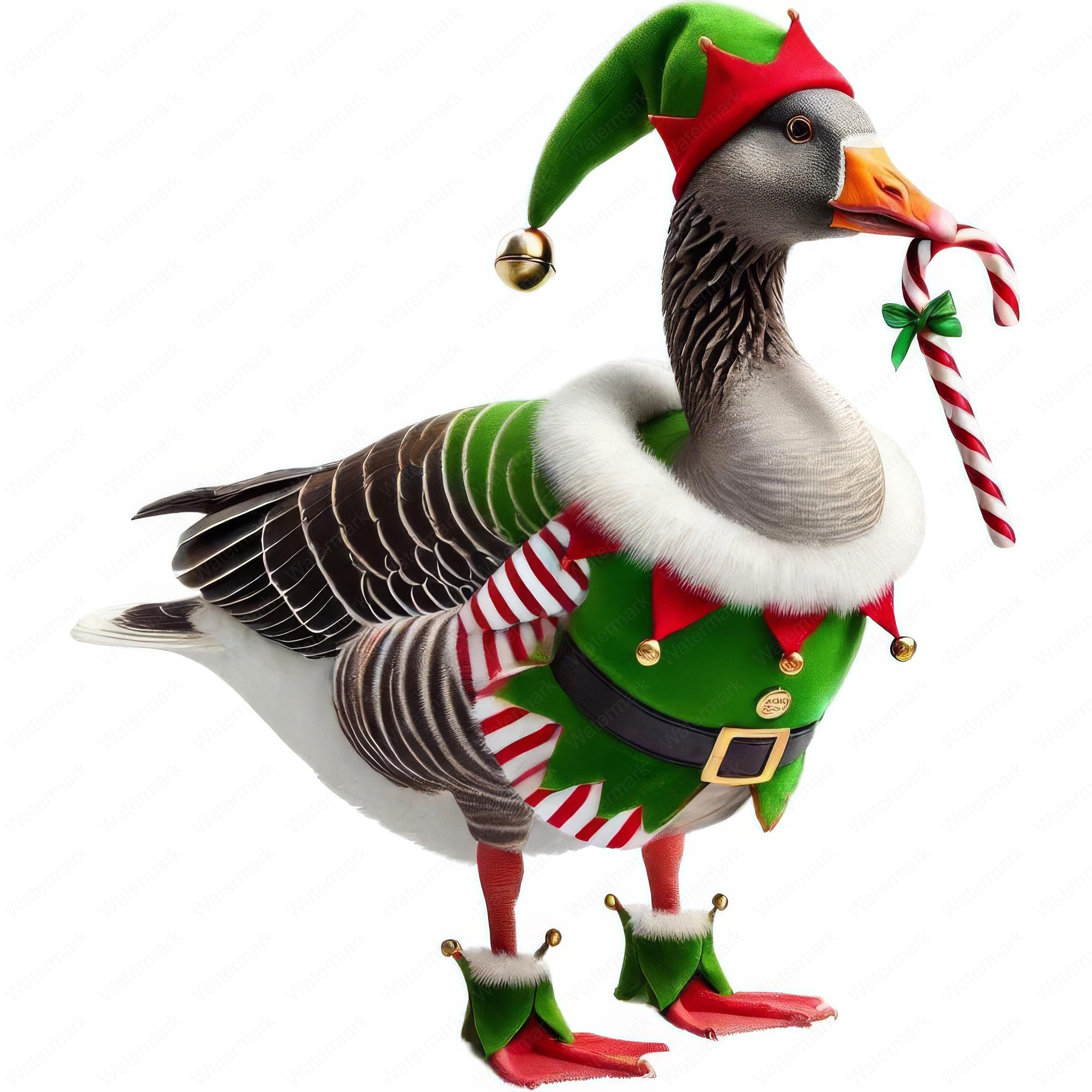 Christmas Goose Clipart: Festive Holiday Art (digital Download) - Etsy