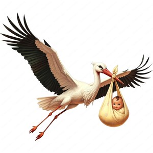 Stork Baby Clipart: Light Brown Skin Tone, Nursery Art (digital ...