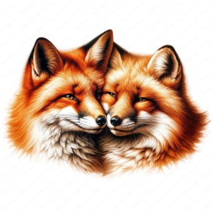 Fox Couple Clipart | Enchanting Fox Couple Clipart Bundle | 10 High ...
