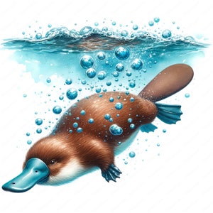 Platypus Clipart Clipart Bundle 10 High-quality Images Wall Art Paper ...