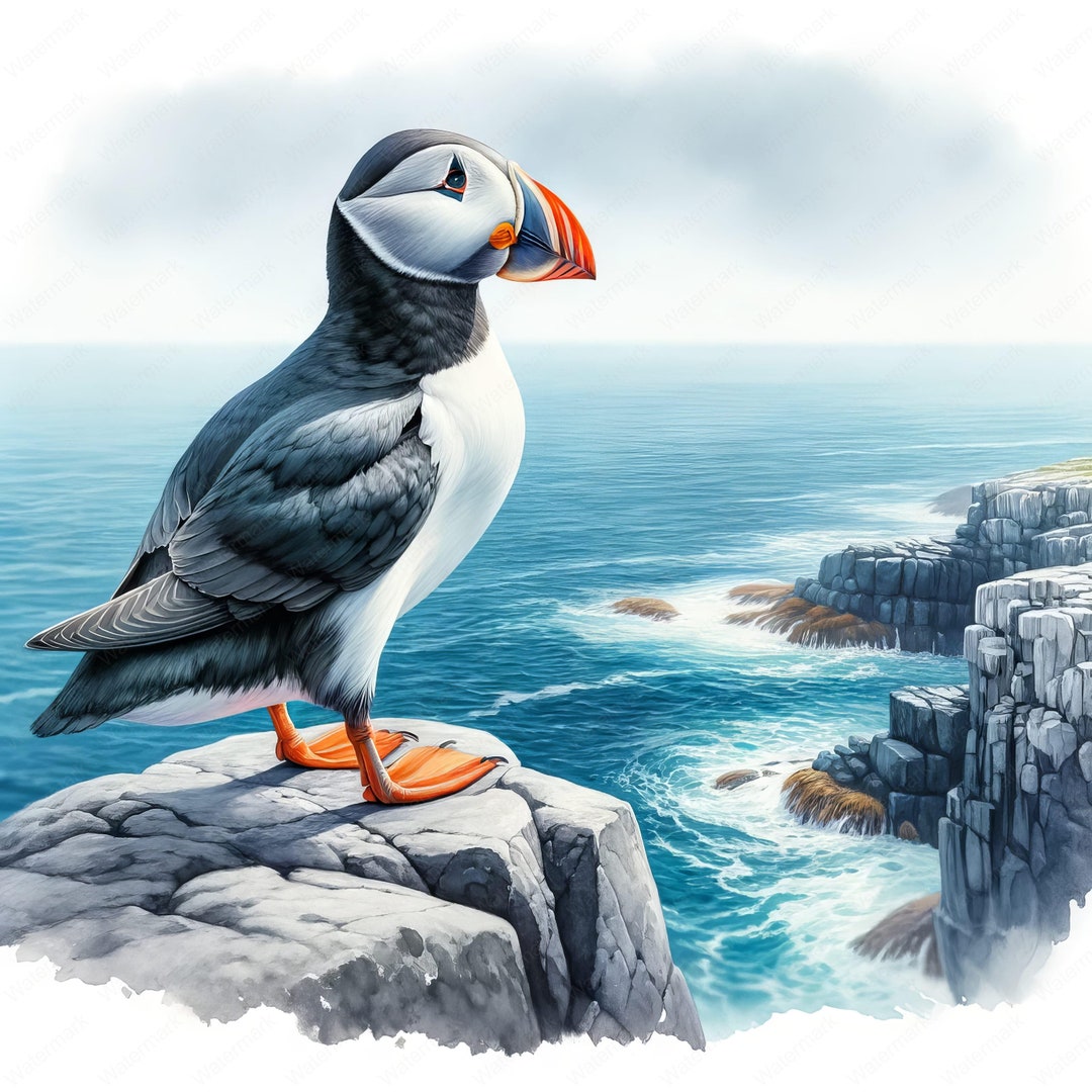 Puffin Clipart Clipart Bundle 10 High-quality Images - Etsy Canada