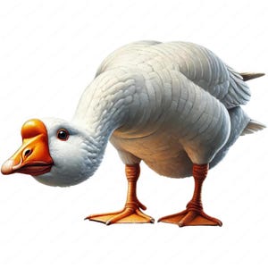 Farm Goose Clipart Rustic Farm Goose Clipart Bundle 10 High-quality ...