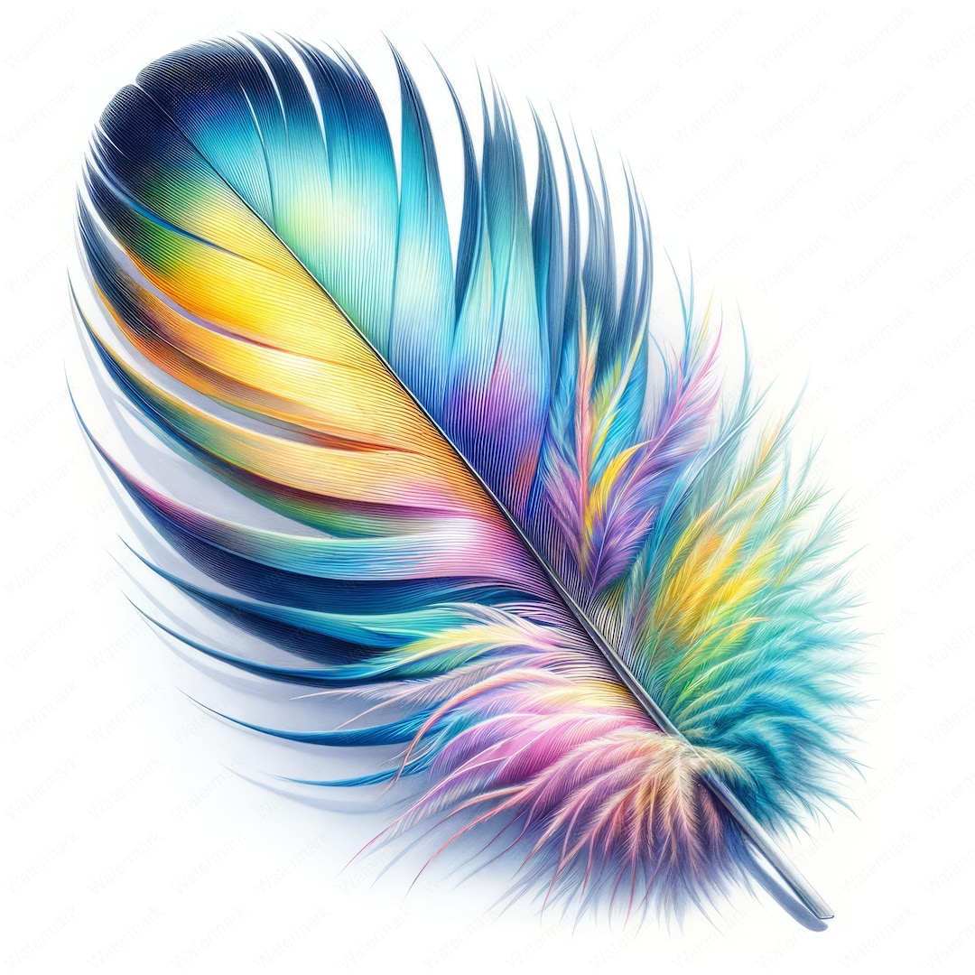 Vibrant Feather Clipart | Colorful Feather Clipart Bundle | 10 High ...