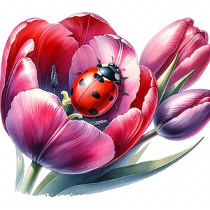 Ladybug Clipart | Charming Ladybug and Flower Clipart Bundle | 10 High ...