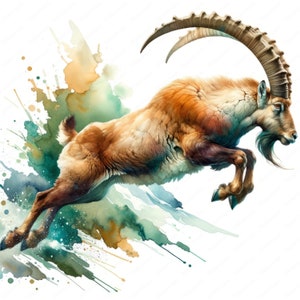 Alpine Ibex Clipart Clipart Bundle 10 High-quality Images Wall Art ...