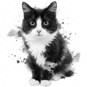 Watercolor Cat Clipart: Black & White Feline PNG Bundle (digital ...