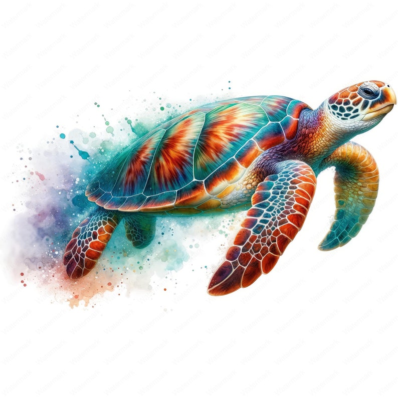 Sea Turtle Clipart Bundle | Ocean Life Art, High-quality (digital ...