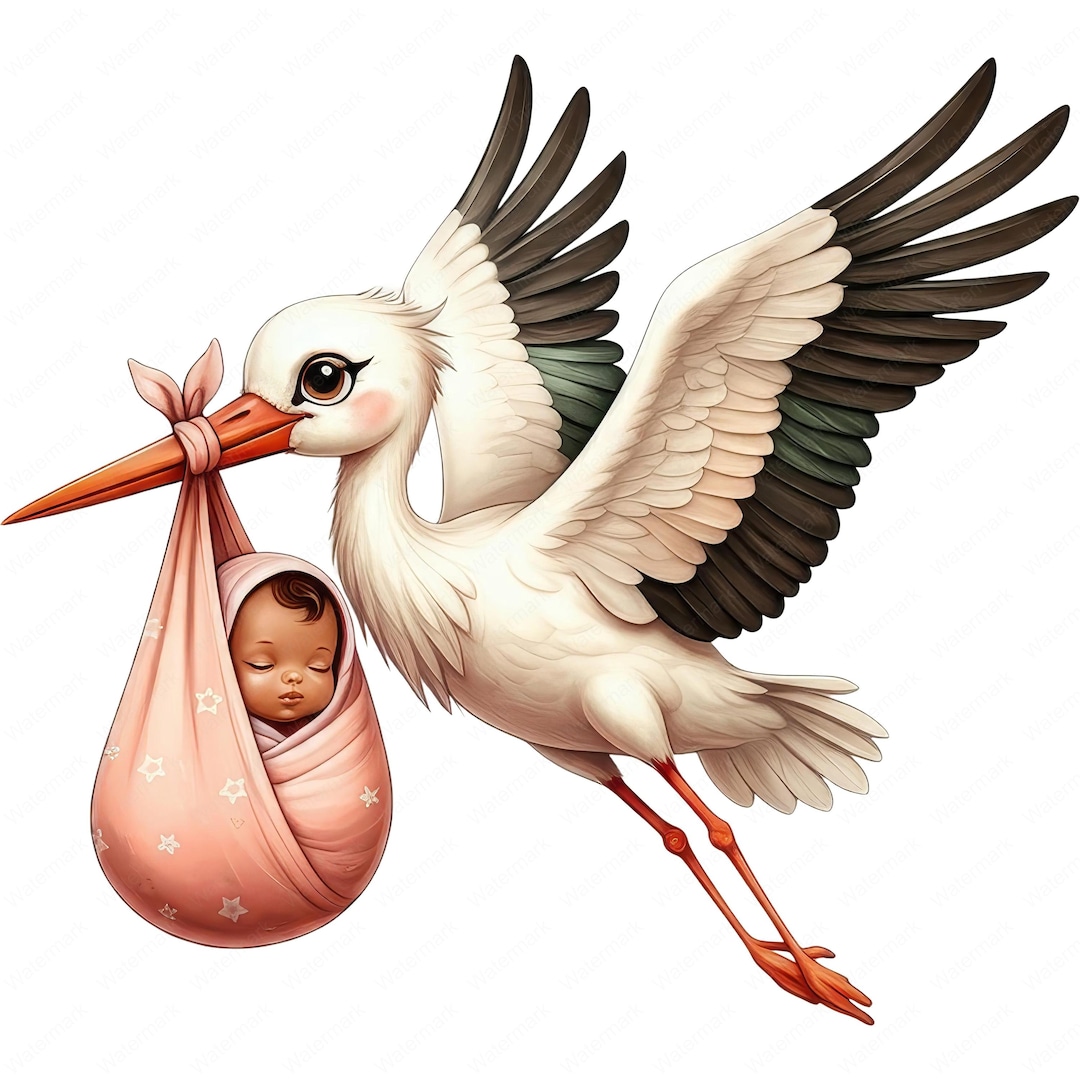 Stork Baby Clipart: Light Brown Skin Tone, Nursery Art (digital ...