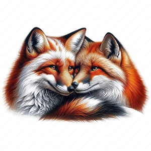 Fox Couple Clipart | Enchanting Fox Couple Clipart Bundle | 10 High ...