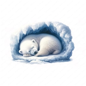 Polar Bear Cub Clipart | Cute Polar Bear Cub Clipart Bundle | 10 High ...