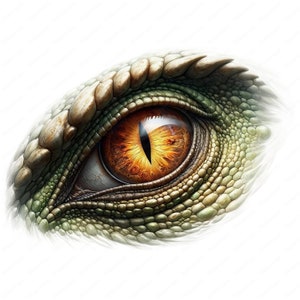 T-rex Eye Clipart Intense T-rex Eye Clipart Bundle 10 High-quality ...