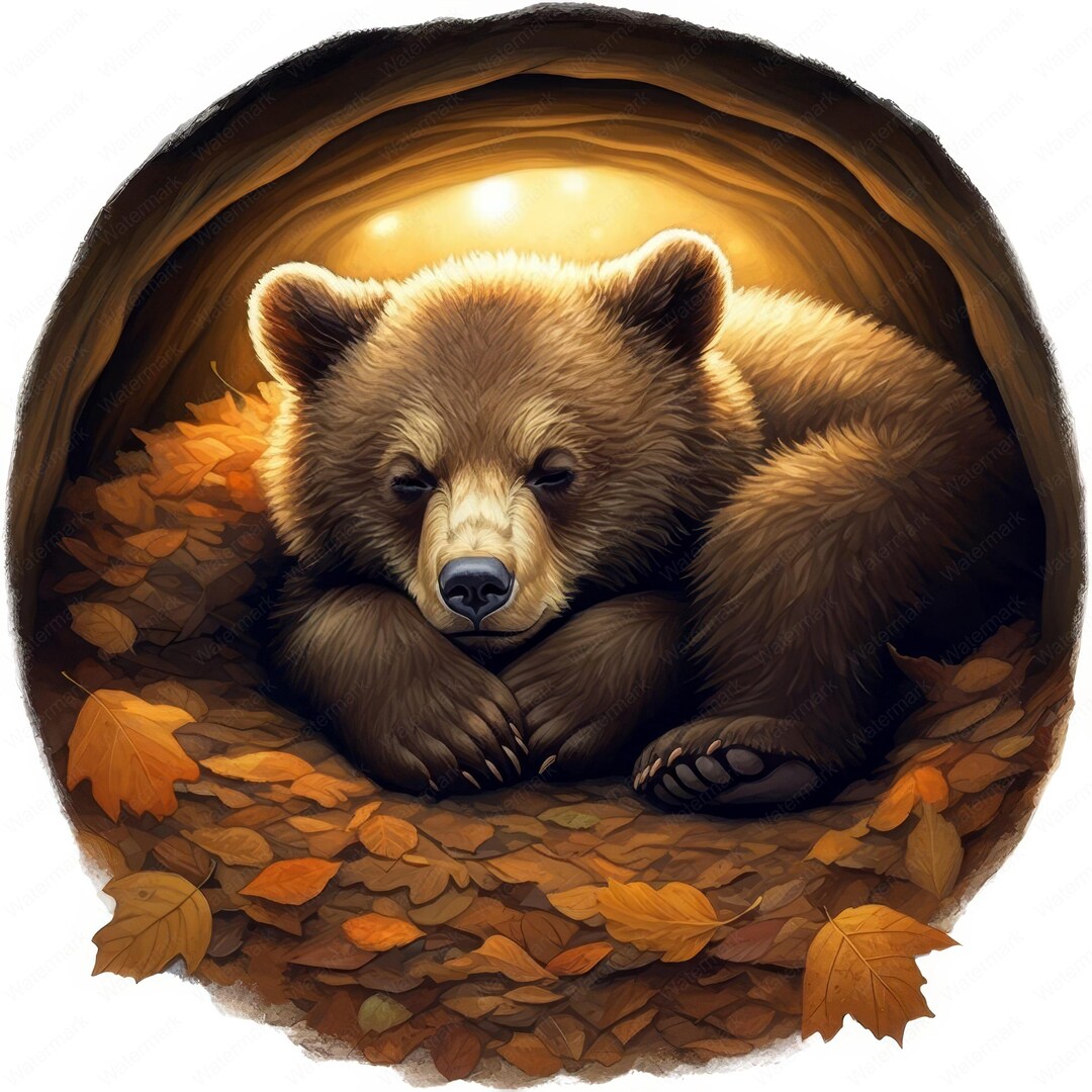 Winter Bear Cub Clipart Bundle: Cozy Woodland Art (digital Download) - Etsy