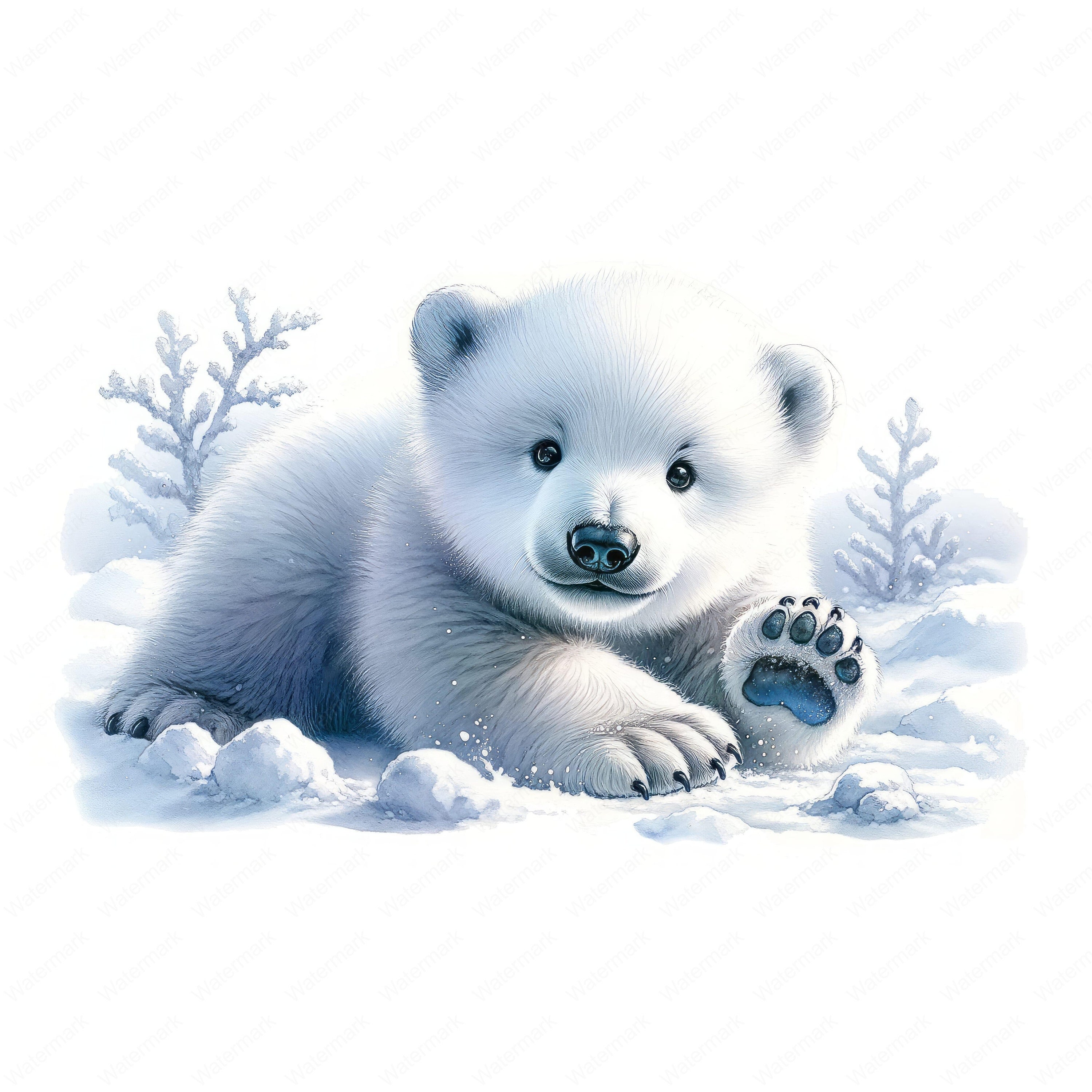 Cute Polar Bear Cub Clipart Bundle | Arctic Animal Art (digital ...