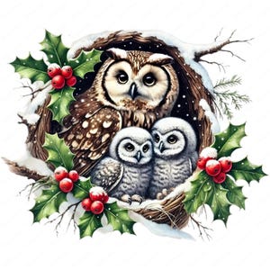 Festive Owl Clipart Festive Owl & Christmas Decor Clipart Bundle 10 ...