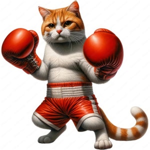 Boxing Cat Clipart | Fierce Boxing Cat Clipart Bundle | 10 High-quality ...
