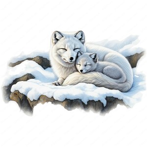 Cozy Arctic Fox Clipart Bundle: Winter Animal Art (digital Download) - Etsy