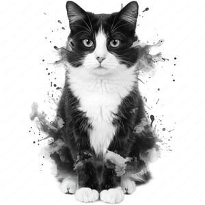 Watercolor Cat Clipart: Black & White Feline PNG Bundle (digital ...