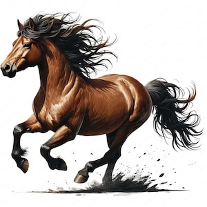 Farm Horse Clipart | Rustic Farm Horse Clipart Bundle | 10 High-quality ...