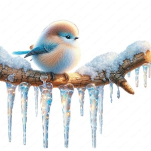 Icicles on Branch Clipart Icicle Clipart Bundle 10 High-quality Images ...